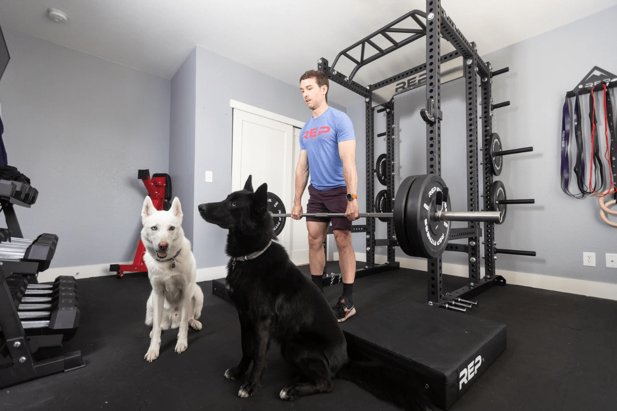 How to Customize Your Power Rack – Gymsportz