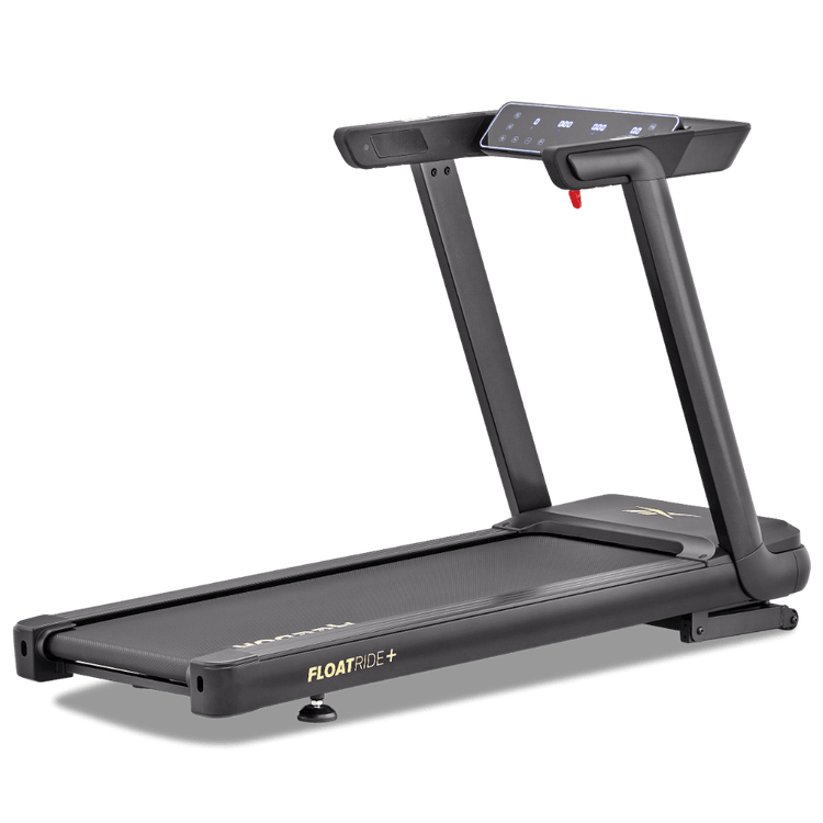 Treadmills In Singapore | Running Machines For Home & Gym